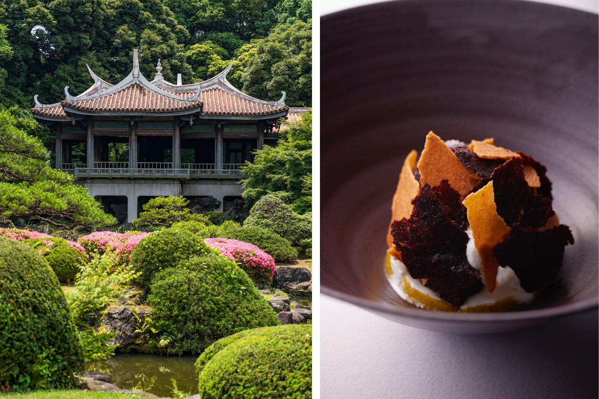 Canedevoto porn videos particularly more so than in her